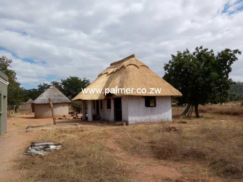 PCTRH05 Professionally thatched rural house - Palmer Construction Zimbabwe